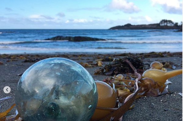 Beached plastic | 10,000 Changes